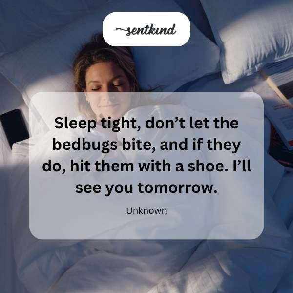 80+ Heartfelt and Inspiring Good Night Quotes for Every Mood