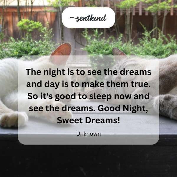 80+ Heartfelt and Inspiring Good Night Quotes for Every Mood