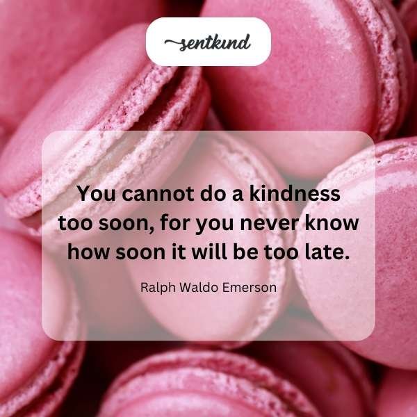 Sweetest Day Quotes: Express Your Love and Gratitude on This Special Day