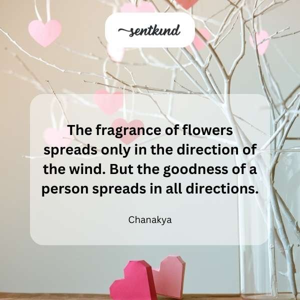 Sweetest Day Quotes: Express Your Love and Gratitude on This Special Day