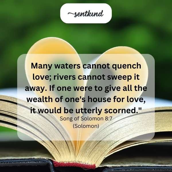 90+ Inspiring Bible Verses About Love: Wisdom for All Relationships