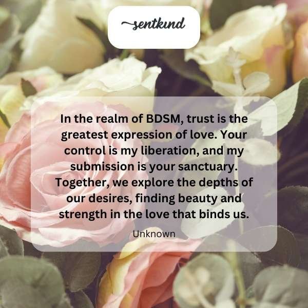 50+ Powerful Quotes on BDSM Relationships and Trust