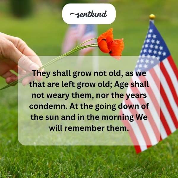 150+ Heartfelt Memorial Day Quotes for Every Tribute