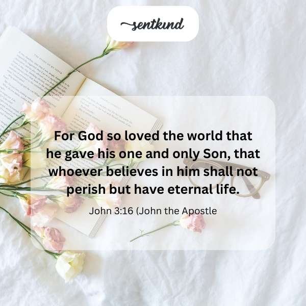 90+ Inspiring Bible Verses About Love: Wisdom for All Relationships