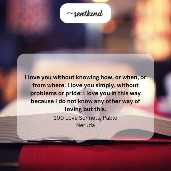 380+ Best Love Quotes to Express Your Feelings