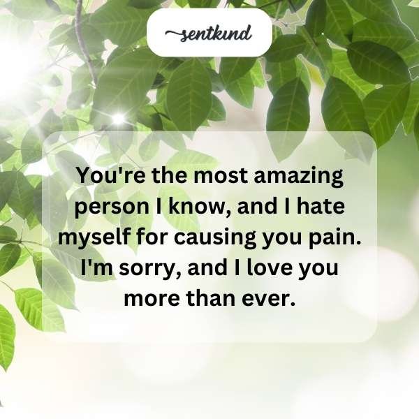 110+ Apology Quotes for Love to Heal and Reconcile