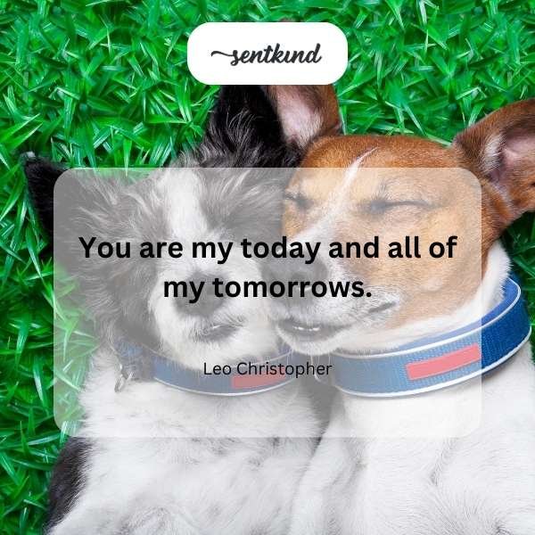 4-Year Anniversary Quotes: Celebrate Four Years of Love and Commitment