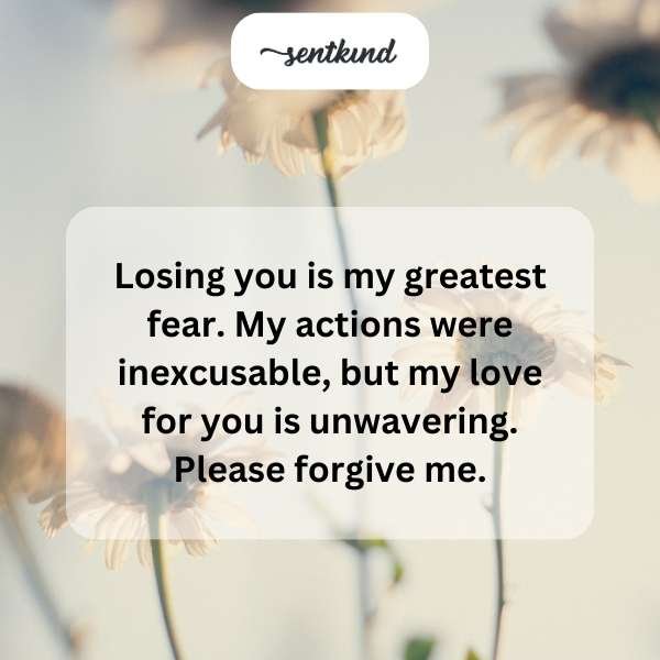 110+ Apology Quotes for Love to Heal and Reconcile