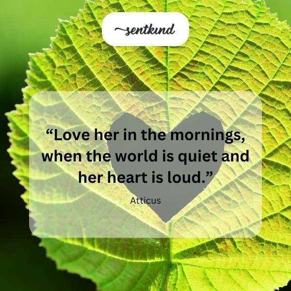 40 Inspiring Atticus quotes about love
