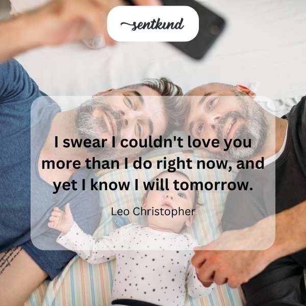 60+ Heartwarming Gay Love Quotes to Make You Smile