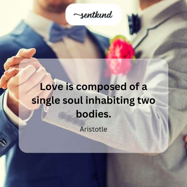 60+ Heartwarming Gay Love Quotes to Make You Smile