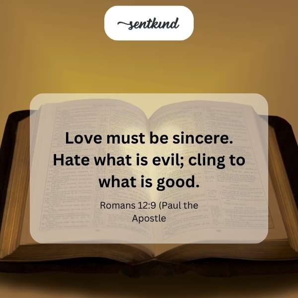 90+ Inspiring Bible Verses About Love: Wisdom for All Relationships