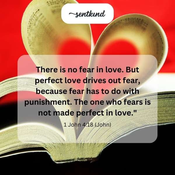 90+ Inspiring Bible Verses About Love: Wisdom for All Relationships