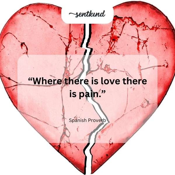 60+ Heartfelt Love Hurts Quotes for Healing and Reflection