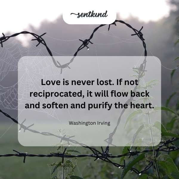 60+ Heartfelt Love Hurts Quotes for Healing and Reflection