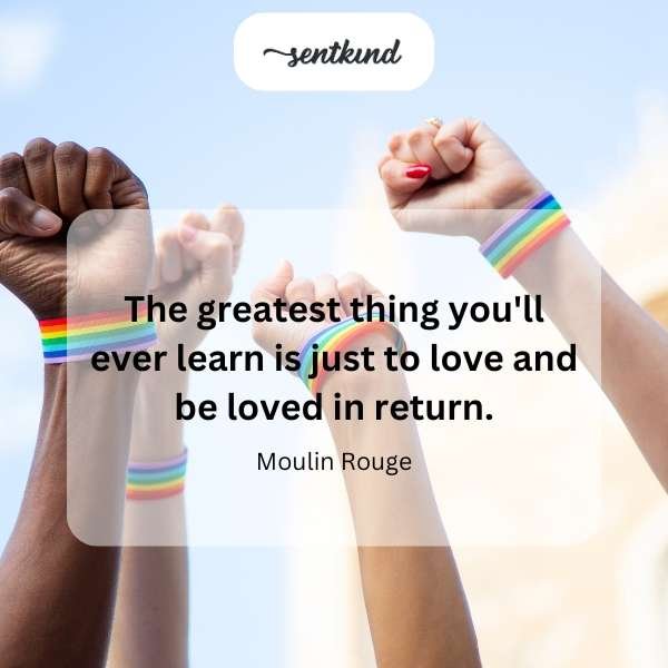 60+ Heartwarming Gay Love Quotes to Make You Smile