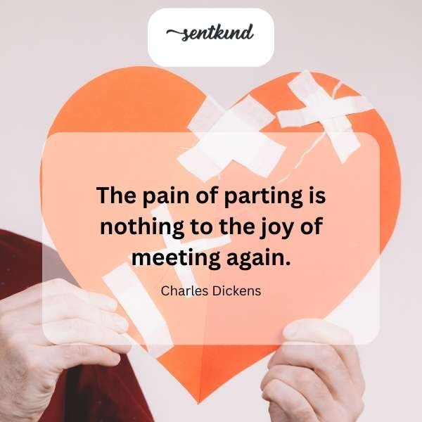 100+ Broken Heart Quotes: Finding Solace Through Words