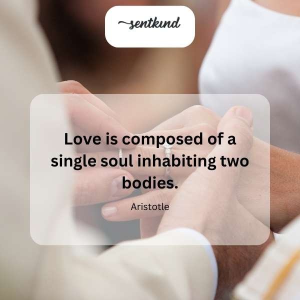 99+ Timeless Wedding Quotes to Include in Your Vows and Invitations