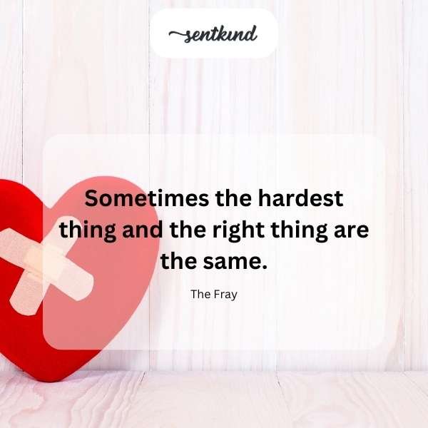 60+ Heartfelt Love Hurts Quotes for Healing and Reflection