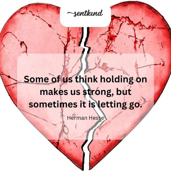 100+ Broken Heart Quotes: Finding Solace Through Words