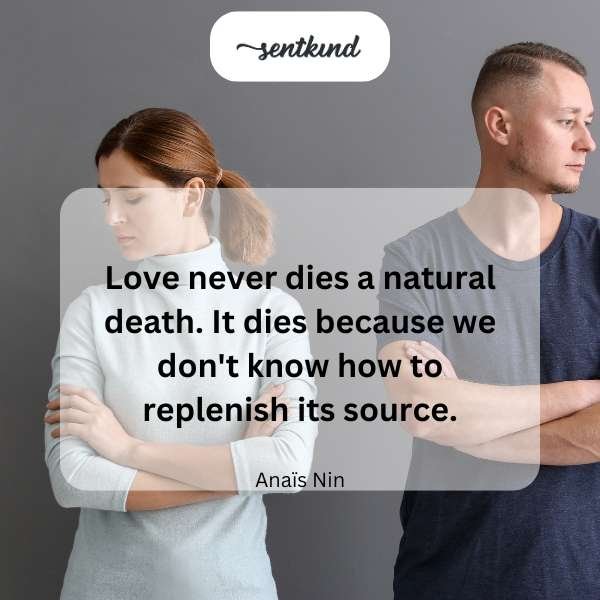200+ Sad Love Quotes to Help You Cope with Heartache