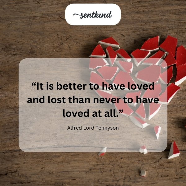 60+ Heartfelt Love Hurts Quotes for Healing and Reflection