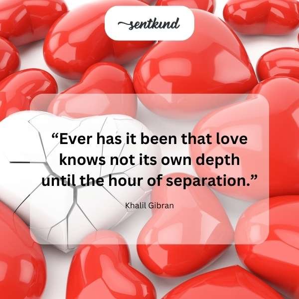 60+ Heartfelt Love Hurts Quotes for Healing and Reflection