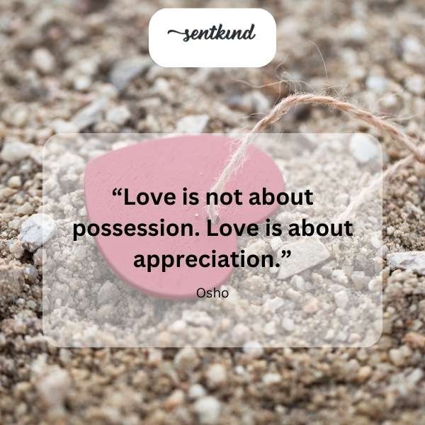 60+ Heartbreaking Love Lost Quotes to Heal Your Broken Heart