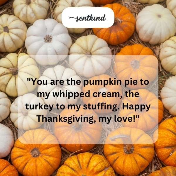 170+ Thanksgiving Love Quotes Expressing Gratitude and Affection