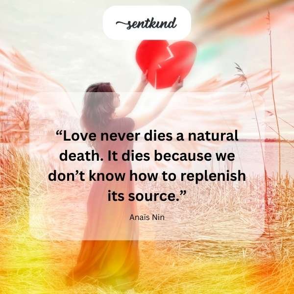 60+ Heartfelt Love Hurts Quotes for Healing and Reflection
