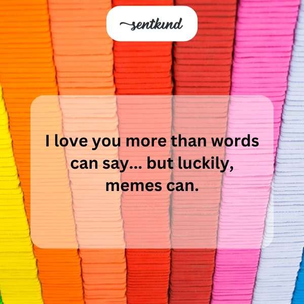 60+ Heartwarming Gay Love Quotes to Make You Smile