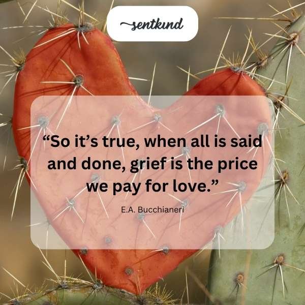 60+ Heartfelt Love Hurts Quotes for Healing and Reflection