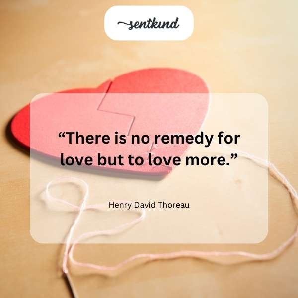 60+ Heartfelt Love Hurts Quotes for Healing and Reflection