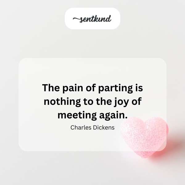 110+ Forbidden Love Quotes Where Hearts Defy Limits