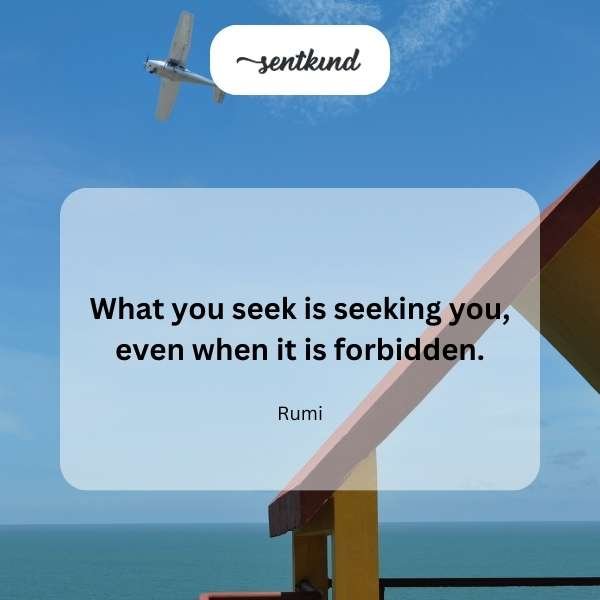 110+ Forbidden Love Quotes Where Hearts Defy Limits