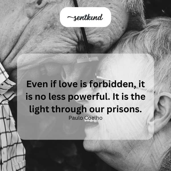 110+ Forbidden Love Quotes Where Hearts Defy Limits