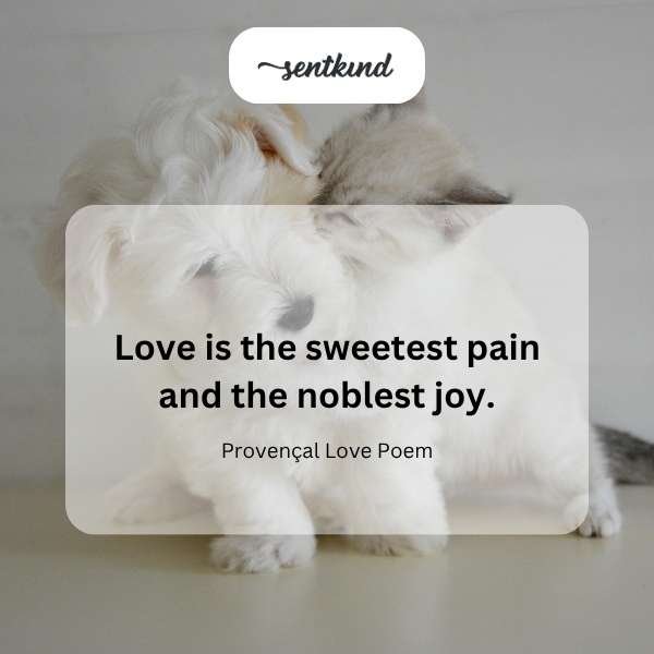 100+ Medieval Love Quotes: Romantic Words That Echo Through Time