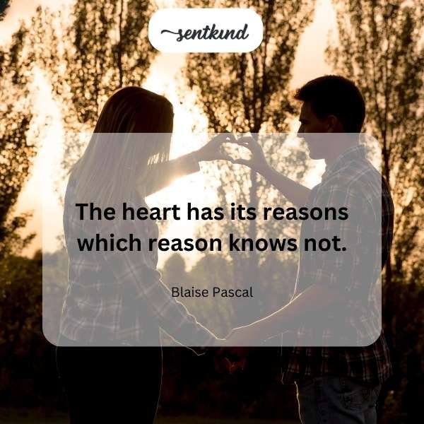 110+ Forbidden Love Quotes Where Hearts Defy Limits