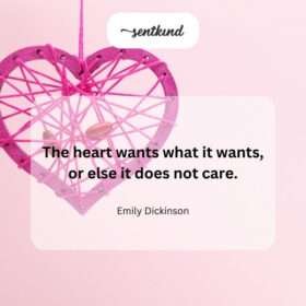 110+ Forbidden Love Quotes Where Hearts Defy Limits