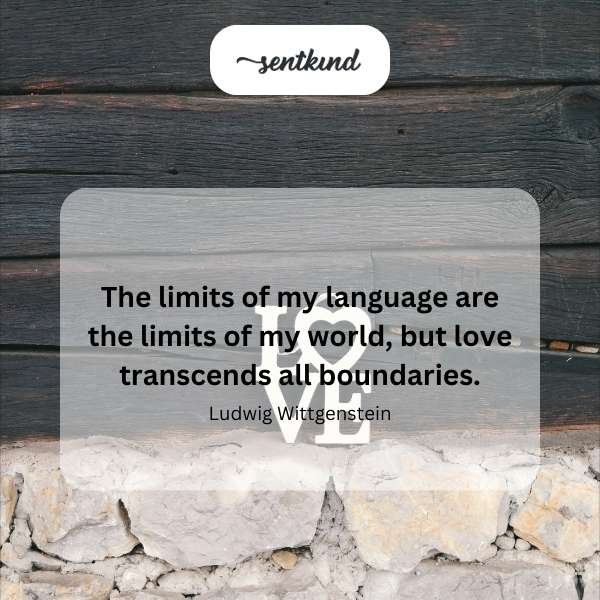 110+ Forbidden Love Quotes Where Hearts Defy Limits