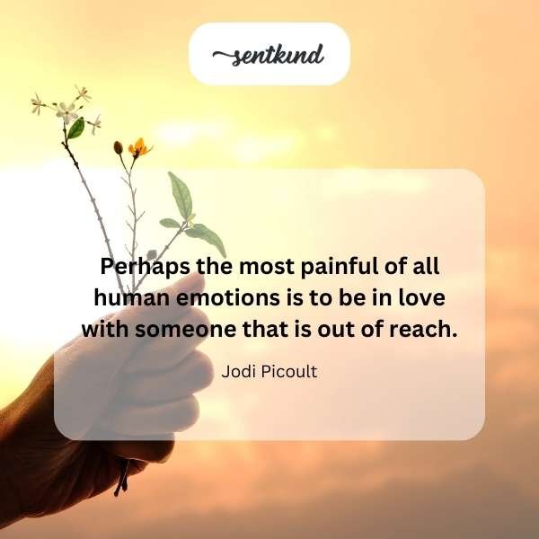 110+ Forbidden Love Quotes Where Hearts Defy Limits