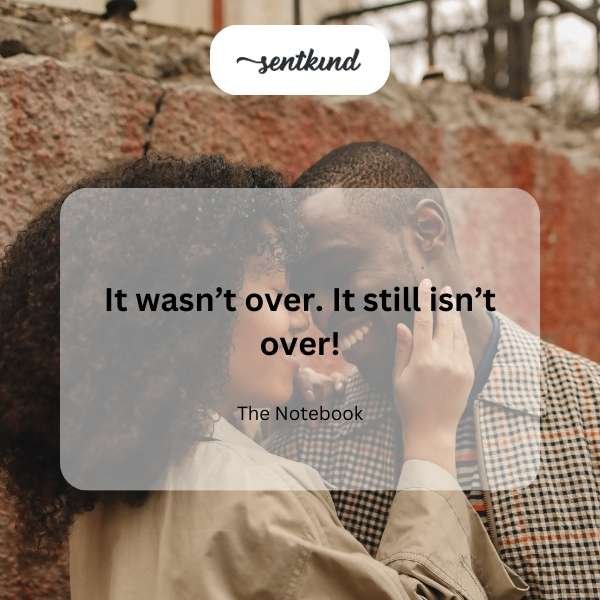 110+ Forbidden Love Quotes Where Hearts Defy Limits