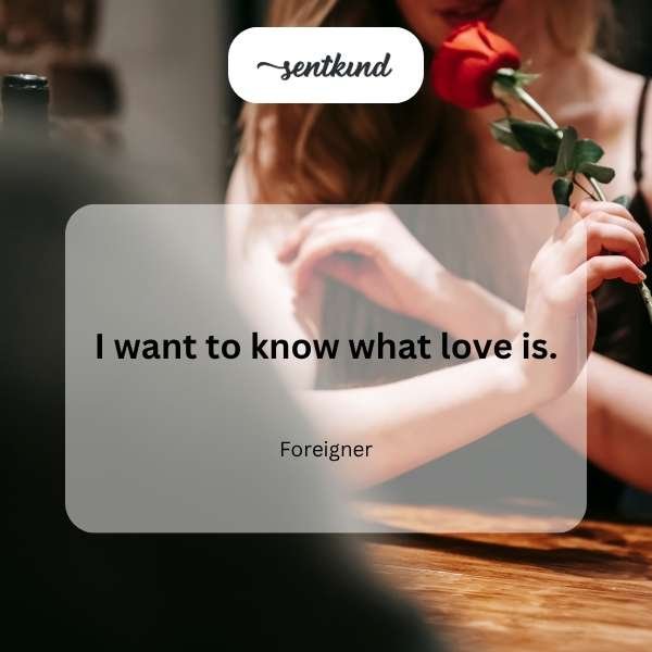 100+ Best Romantic Song Lyrics You Can Quote to Share With Your Love