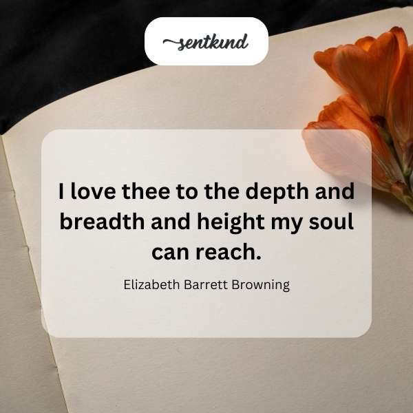 60+ Timeless Romantic Poetic Love Quotes to Inspire Your Heart