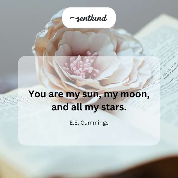 60+ Timeless Romantic Poetic Love Quotes to Inspire Your Heart