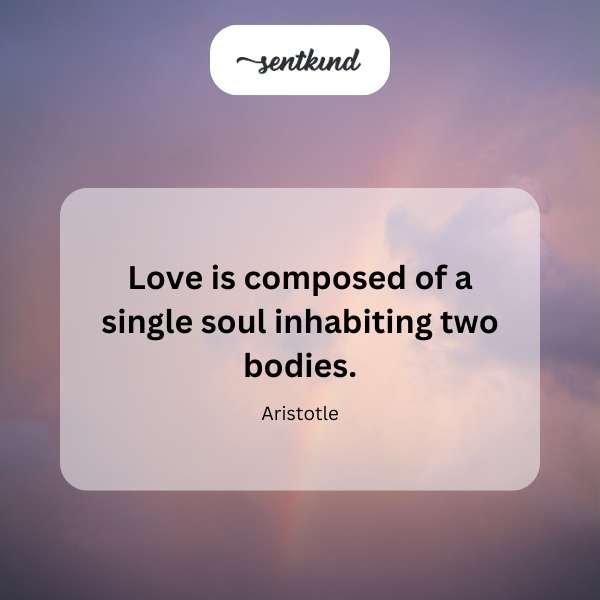 60+ Timeless Romantic Poetic Love Quotes to Inspire Your Heart