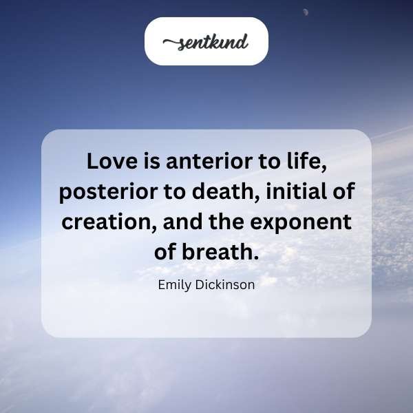 60+ Timeless Romantic Poetic Love Quotes to Inspire Your Heart