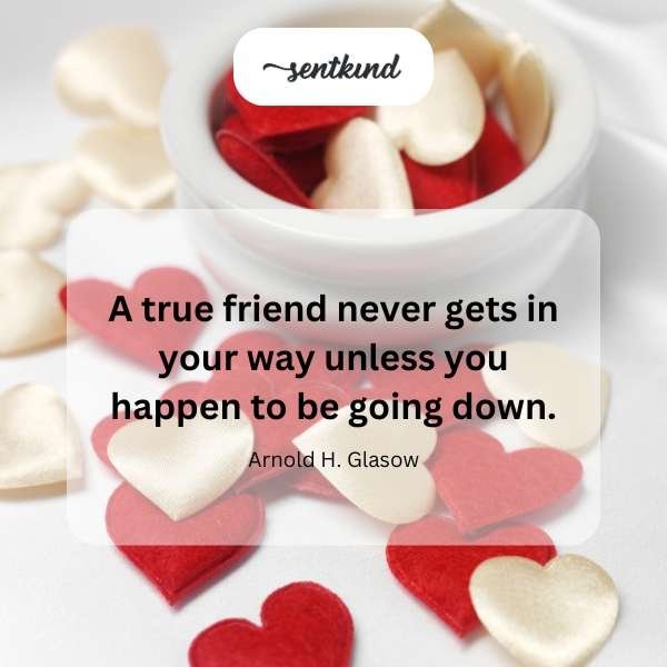 40+ Best Platonic Love Quotes to Celebrate Pure and Unconditional Bonds