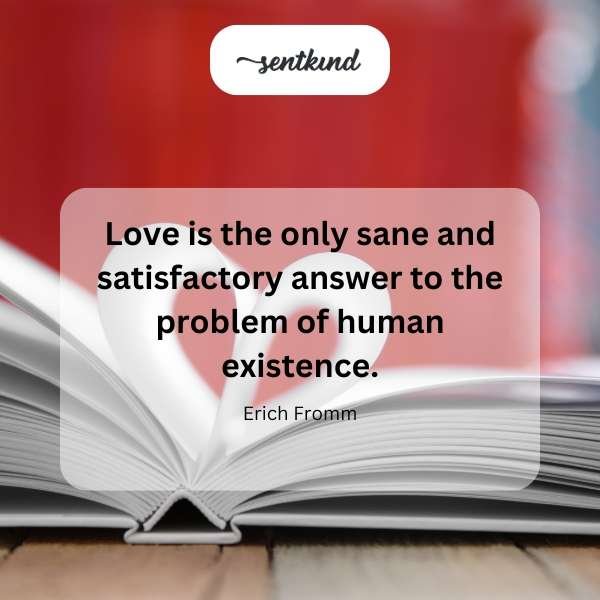 60+ Timeless Romantic Poetic Love Quotes to Inspire Your Heart