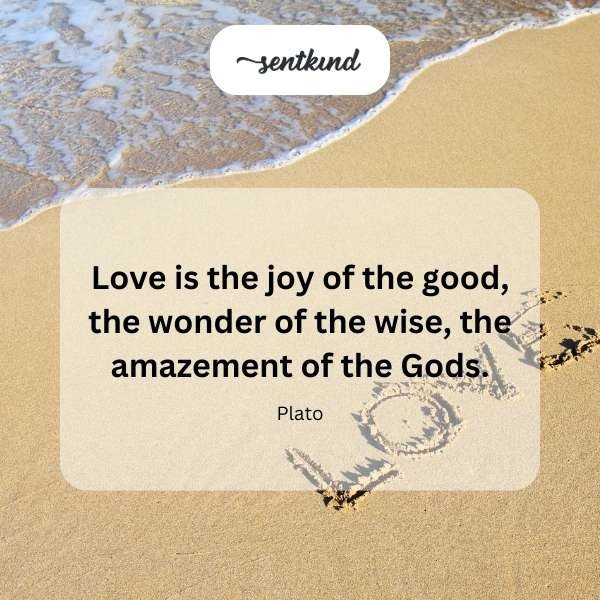 60+ Timeless Romantic Poetic Love Quotes to Inspire Your Heart